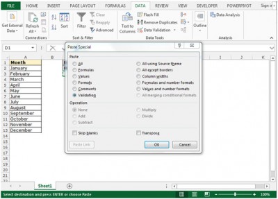 Copying and Pasting Validation list only in Microsoft Excel
