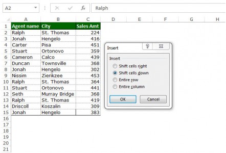 Add a cell, Row or a column in Microsoft Excel 2010