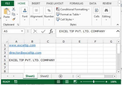 Quickly Entering a Web Site address Email Address or Company Name in Excel
