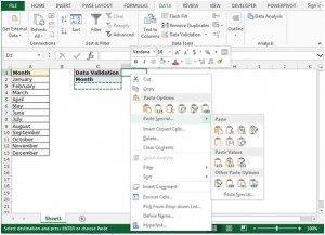 Copying and Pasting Validation list only in Microsoft Excel
