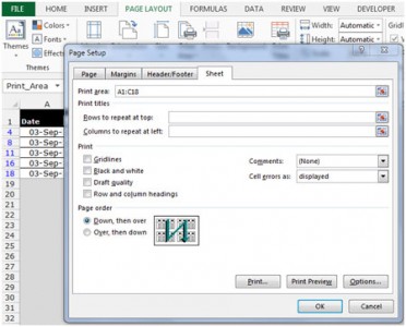 Printing a Filtered List in Microsoft Excel 2010
