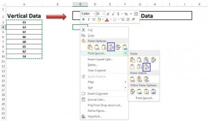 How to Copy Vertical and Paste Horizontal in Microsoft Excel 2010