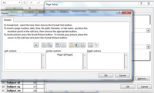 How to Insert Page Numbers in Microsoft Excel 2010