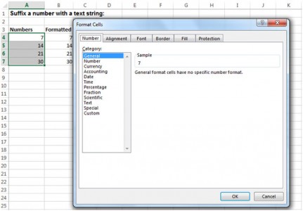 Add a Character to every cell in Microsoft Excel 2010