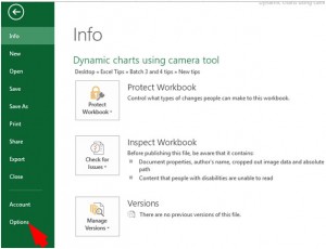 Dynamic charts using camera tool in Microsoft Excel 2010