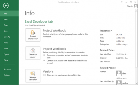 Add Developer Tab in Excel
